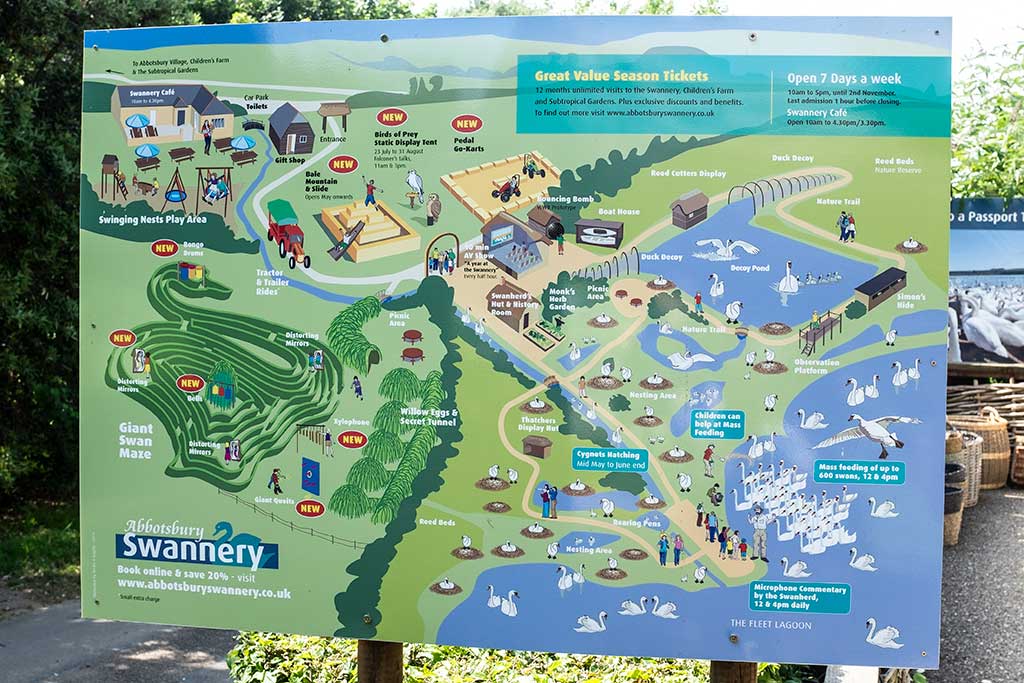 Abbotsbury Swannery - admission price and info | Dorset Guide