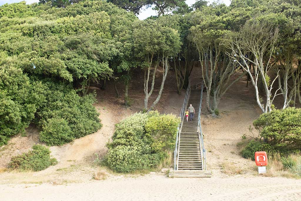 Highcliffe Castle Beach - Visitor info and car park | Dorset Guide