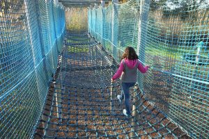 Monkey World - Visitor Information and Ticket Price | Dorset Guide