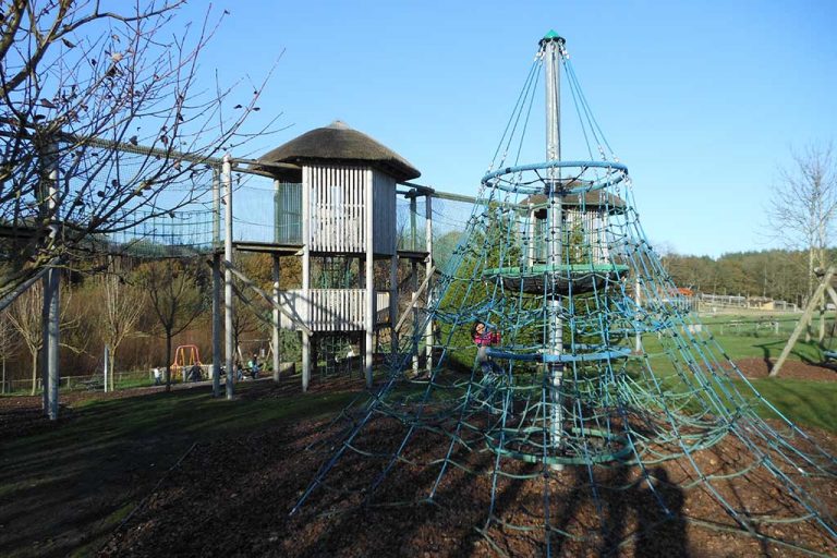 Monkey World - Visitor Information and Ticket Price | Dorset Guide