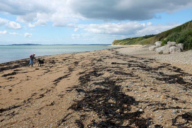 Ringstead Bay Beach - Dorset Guide