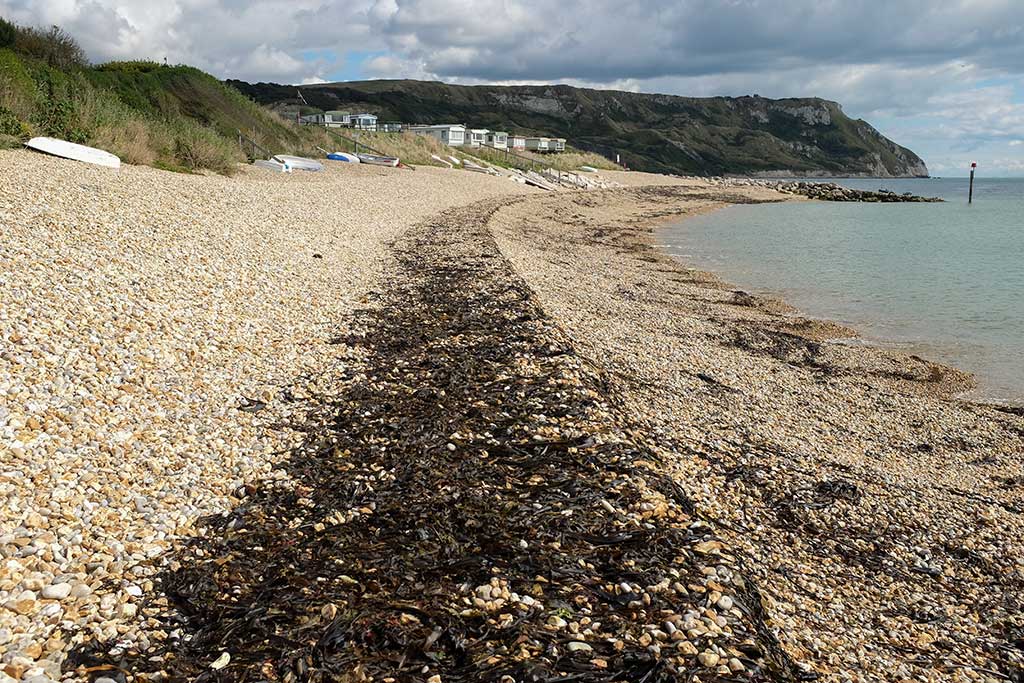 Ringstead Bay Beach - Dorset Guide