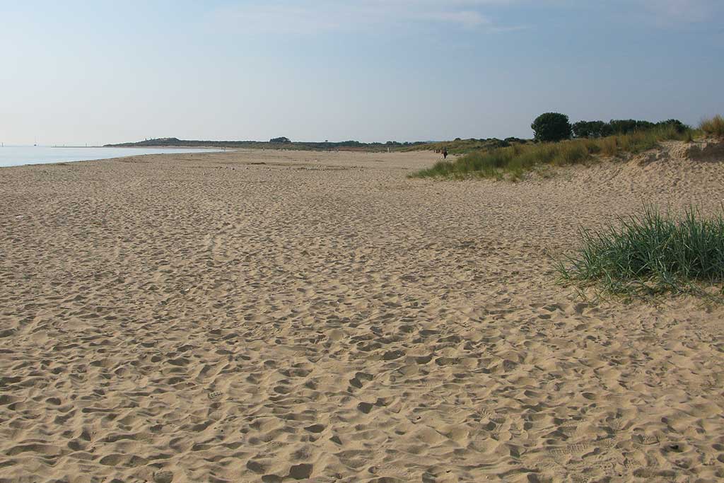 Shell Bay Beach Studland - Dorset Guide