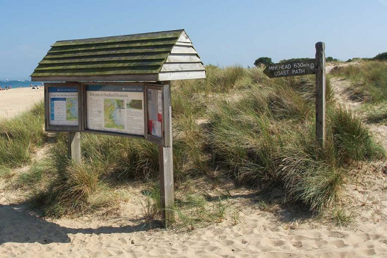Shell Bay Beach Studland - Dorset Guide