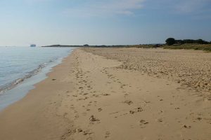 Shell Bay Beach Studland - Dorset Guide