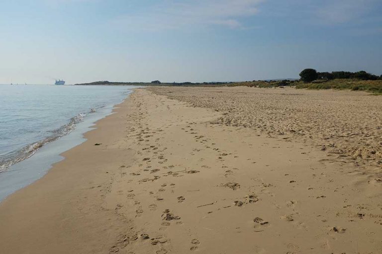 Shell Bay Beach Studland - Dorset Guide