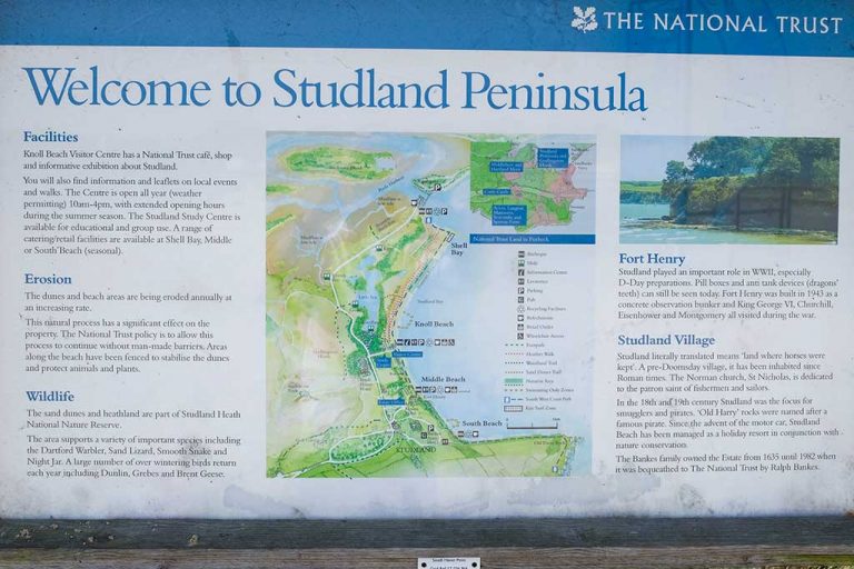 Shell Bay Beach Studland - Dorset Guide