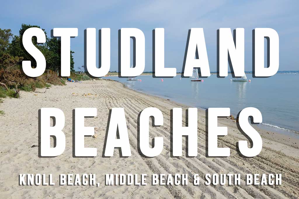 Shell Bay Beach Studland - Dorset Guide