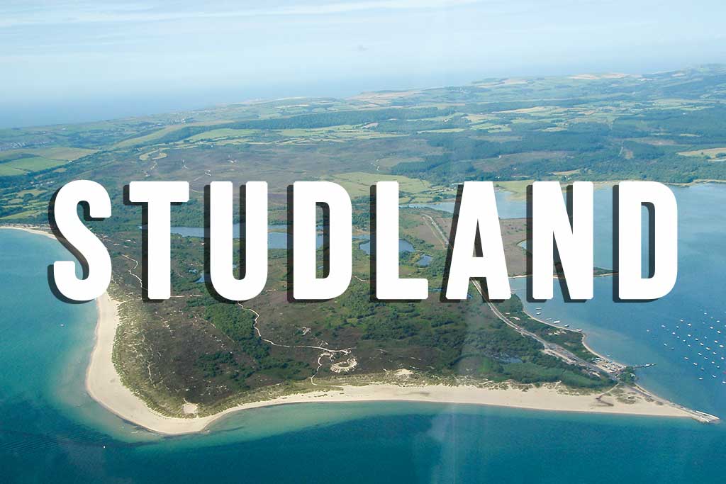 Poole Harbour Visitor Guide - The best things to do and see | Dorset Guide