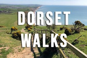 Dorset Walks - A Visitors Guide to the Best Walks in Dorset